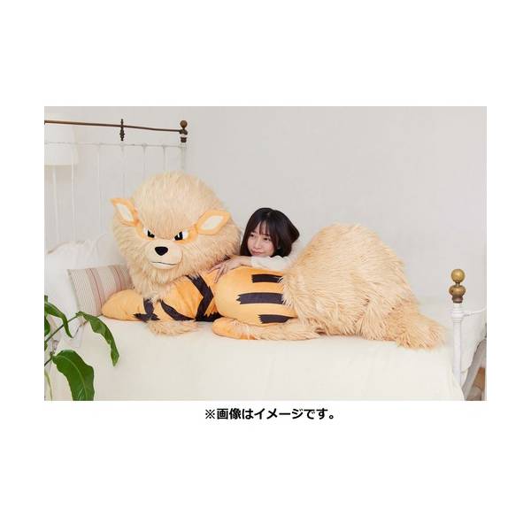 Pokemon - Arcanine (Windie) - Bed Sharing LIMITED EDITION | Nin-Nin ...