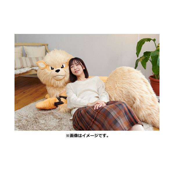 Pokemon - Arcanin (Windie) - Bed Sharing LIMITED EDITION | Nin-Nin-Game.com