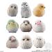 Shokugan: Mofumofu Tenori Friends - 12 Packs/Box (CANDY TOY) | Nin-Nin ...