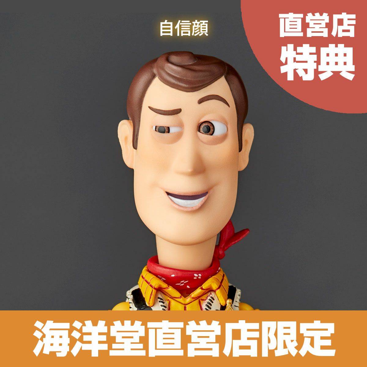 Revoltech Toy Story Woody Ver 2 Limited Bonus Kaiyodo Nin Nin