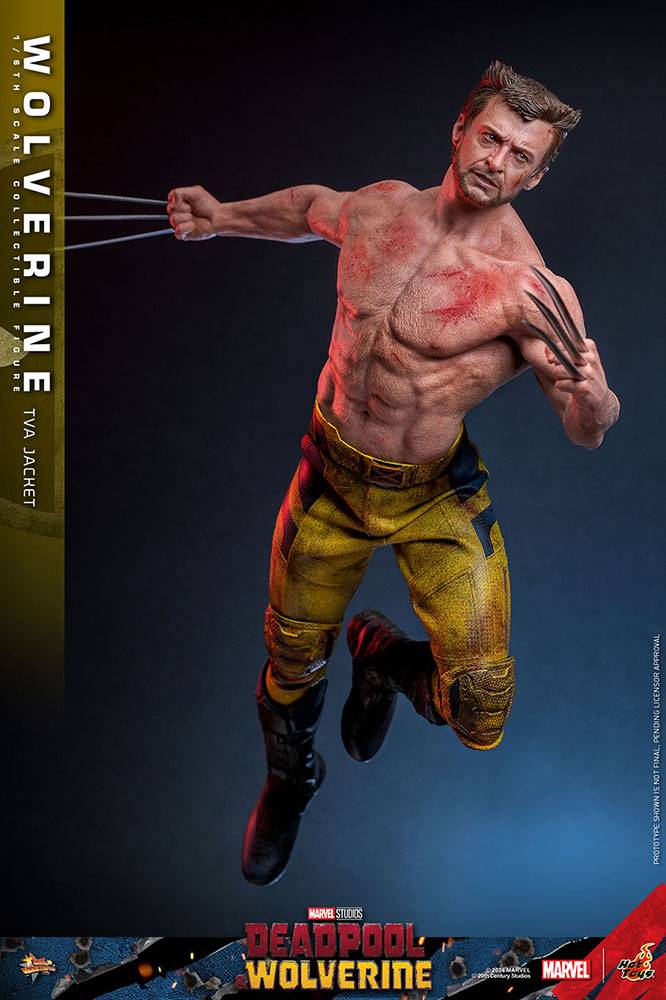 Movie Masterpiece: Deadpool & Wolverine - Wolverine 1/6 (TVA Jacket ...