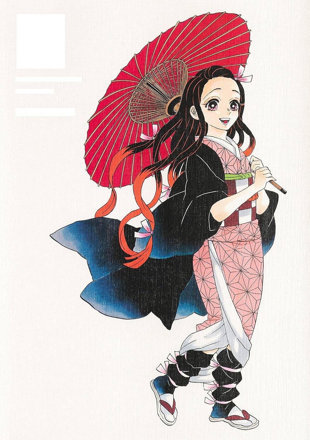 Demon Slayer: Koyoharu Gotouge Illustration Collection - Many Months ...