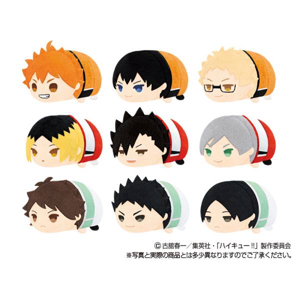 Haikyu!!: Mochi Mochi Mascot Plush Toy Vol. 4 (9 Packs Box) (Reissue ...