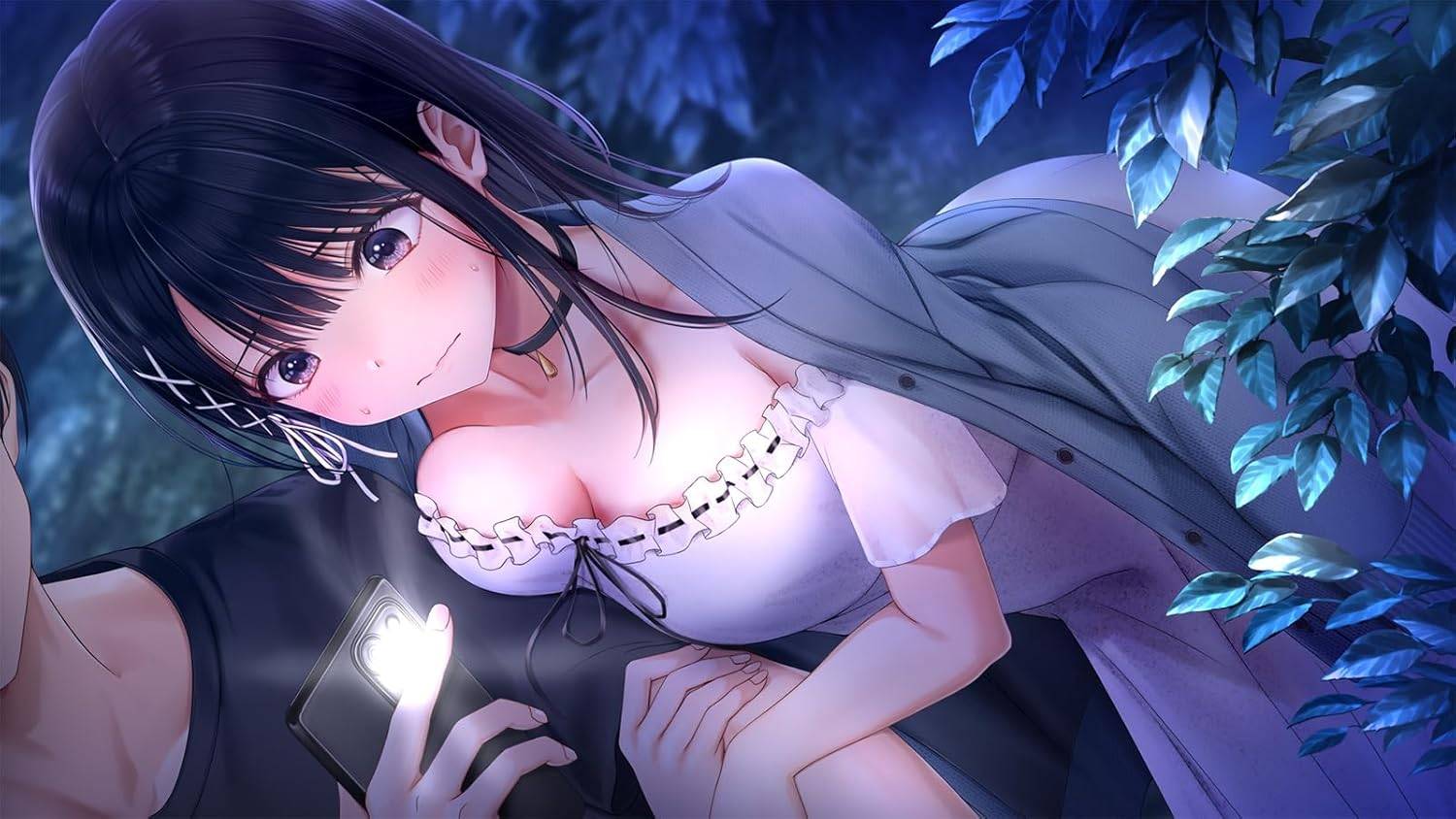 Seifuku Kanojo 2 [Switch] - Nin-Nin-Game.com