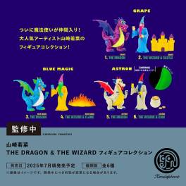 The Dragon & Wizard: Mini Figures Collection (12 Packs Box) [Ken ...