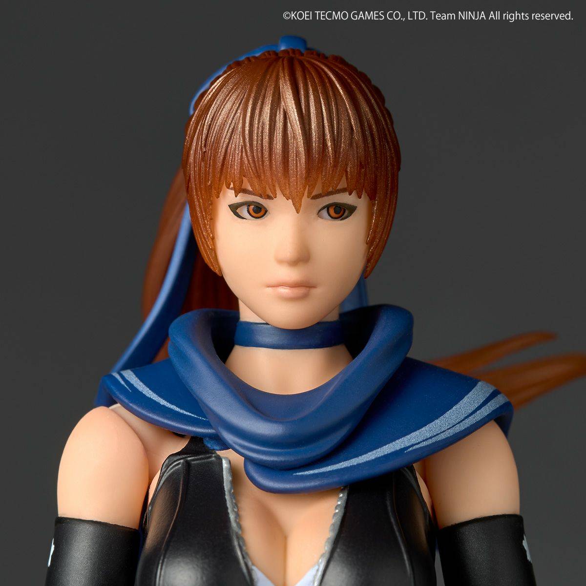 Amazing Yamaguchi / Revoltech: NINJA GAIDEN 3 - Kasumi (Limited + Bonus) [Kaiyodo] - Nin-Nin ...