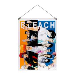 Bleach: Acrylic Display Panel (Limited Edition) [Shueisha] - Nin-Nin ...