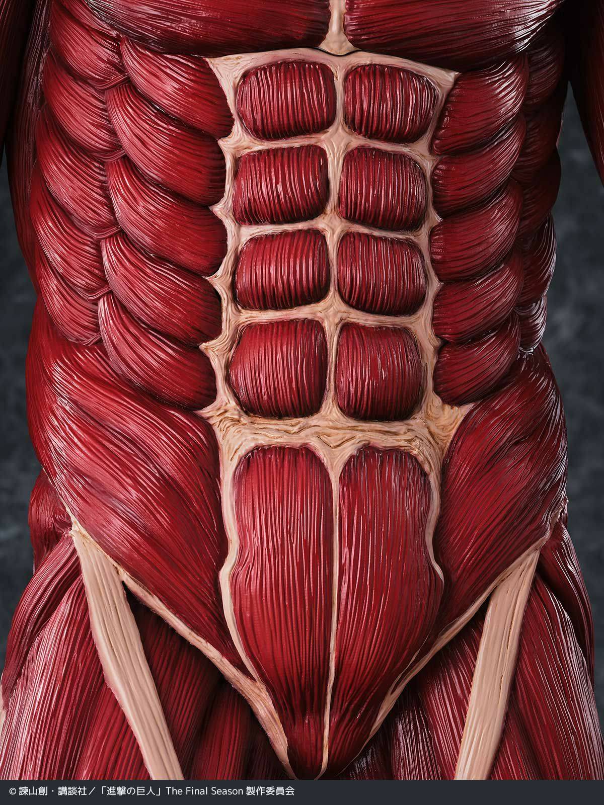 Amazing Yamaguchi / Revoltech: Attack on Titan - Colossal Titan (Mega ...