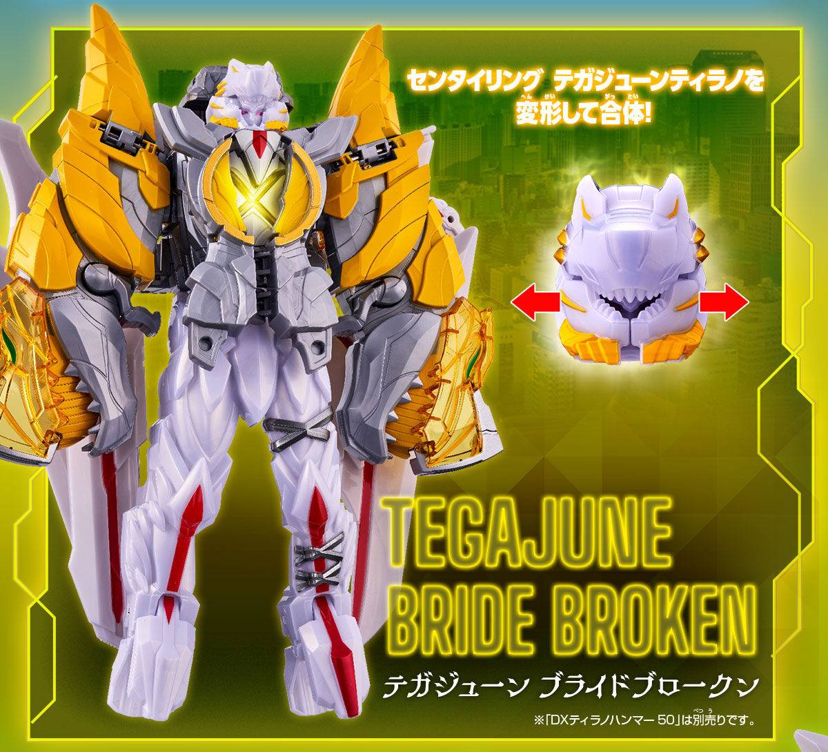 No.1 Sentai Gozyuger: DX Sentai Ring - Tega June Rings & Blank Ring ...