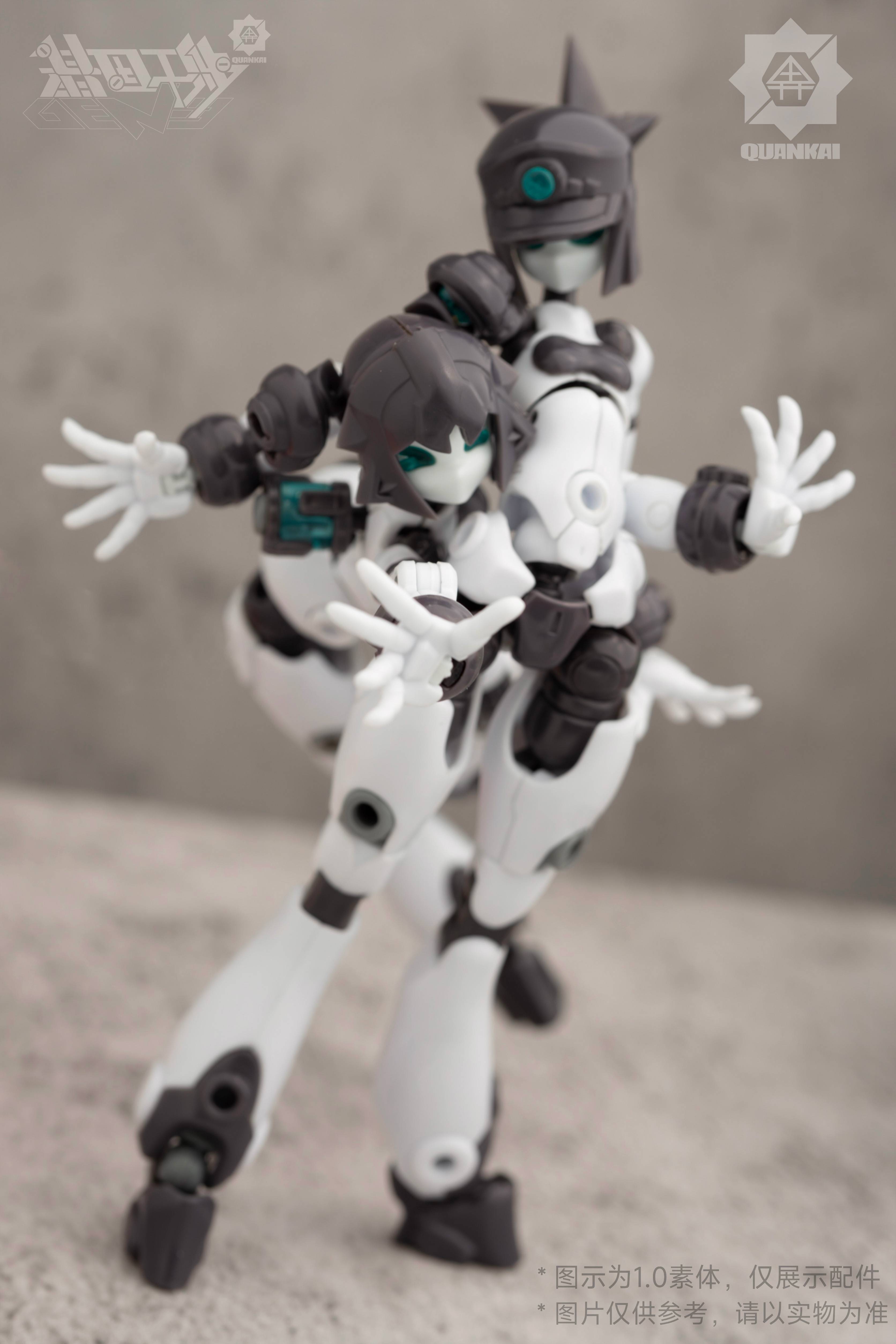 Gene Interference Series: QK-ST-002 1/12 (Plastic Model) [QUANKAI ...